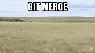 Git Et GitHub Plouf